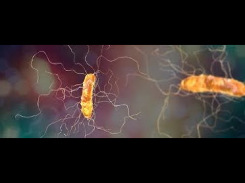 Antimicrobial Susceptibility Testing of Anaerobic Bacteria: A Mini-Review