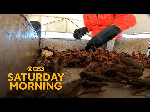 Louisiana Declares Crawfish Emergency Following Drought, Heat, Salt ...