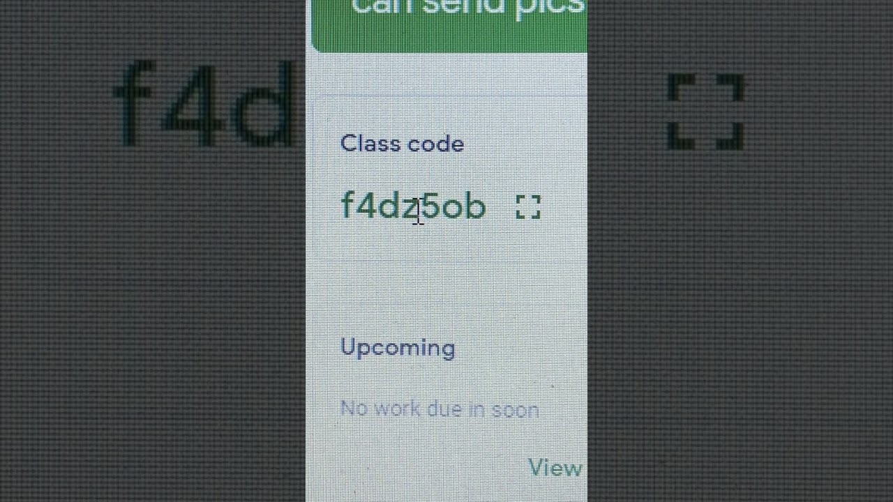 For any essa owners (btw goggle classroom)