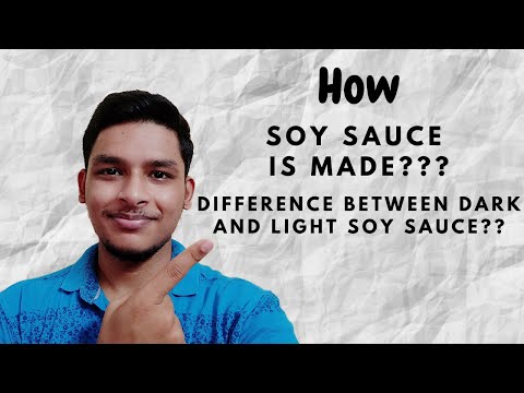 How Soy Sauce is Made? Difference between Dark and Light Soy Sauce? Explained in Hindi| Food Science