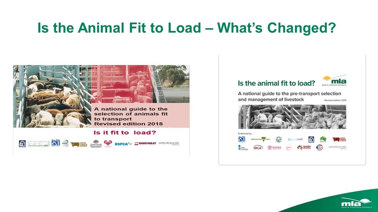 Goats hub | Meat & Livestock Australia