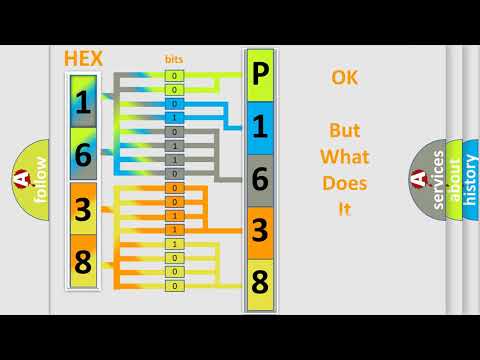 DTC BMW P1638 Short Explanation