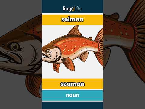 🇬🇧🇫🇷 salmon - saumon : vocabulary builder : learn English : apprenons l'anglais