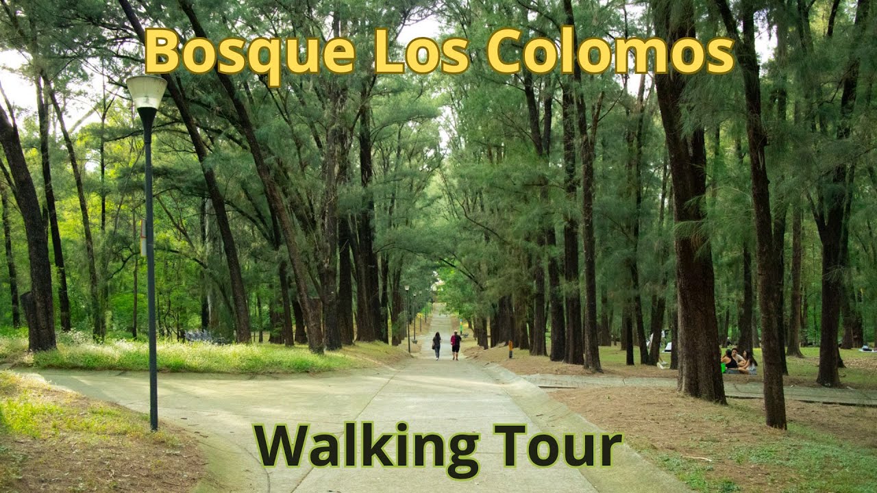 Bosque Los Colomos Pt. II Walking Tour POV with DJI Osmo Action 4, Guadalajara, México