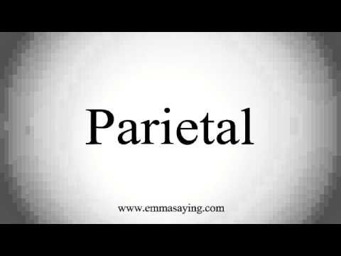 How to pronounce Parietal