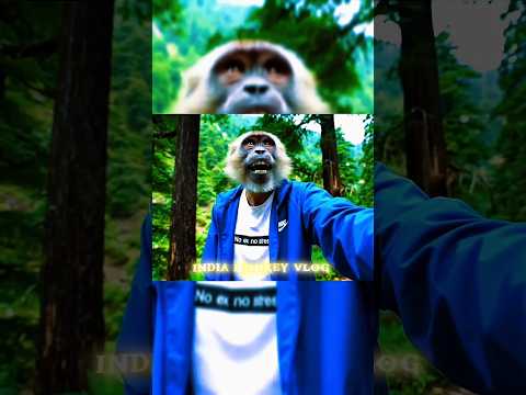 Instagram Viral Monkey Vlogs Kaise banaye | How to make Monkey Vlogs, AI Animal Vlogs#veo3