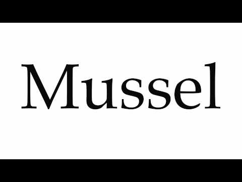 How to Pronounce Mussel