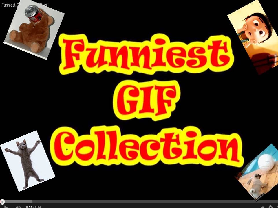 Funniest GIF Collection Ever