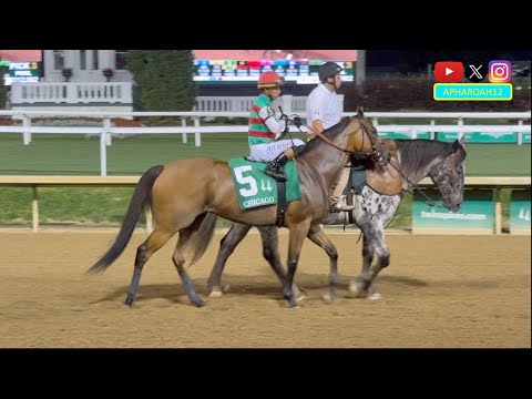 Vahva Attempts to Defend Title Against Tough Group in 2025 Chicago Stakes