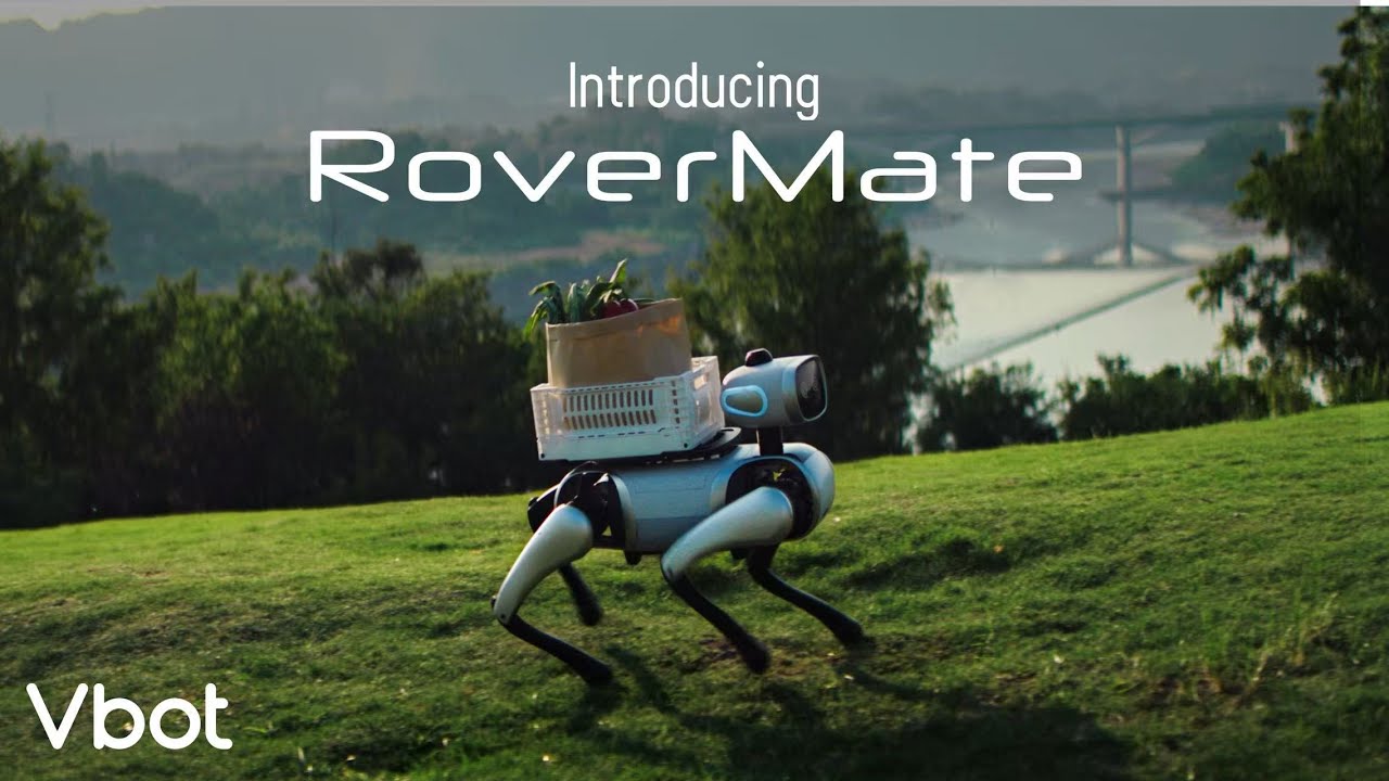 Meet Babo: The Robot Dog Set to Become Your Next Best Friend - Tinkimo