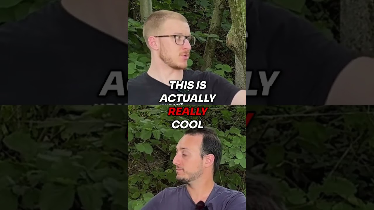 Exploring Global Cultures: What I Learned from This Book