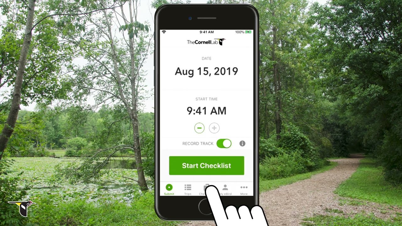 Submit Your Sightings on eBird Mobile - eBird Essentials