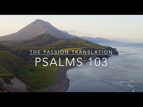 Psalms 103 TPT Bible Meditation