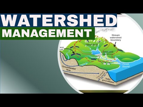 What is Watershed Management, Objectives and Types of Watershed