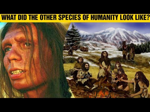 What Did Other Human Species Look Like? #Shorts