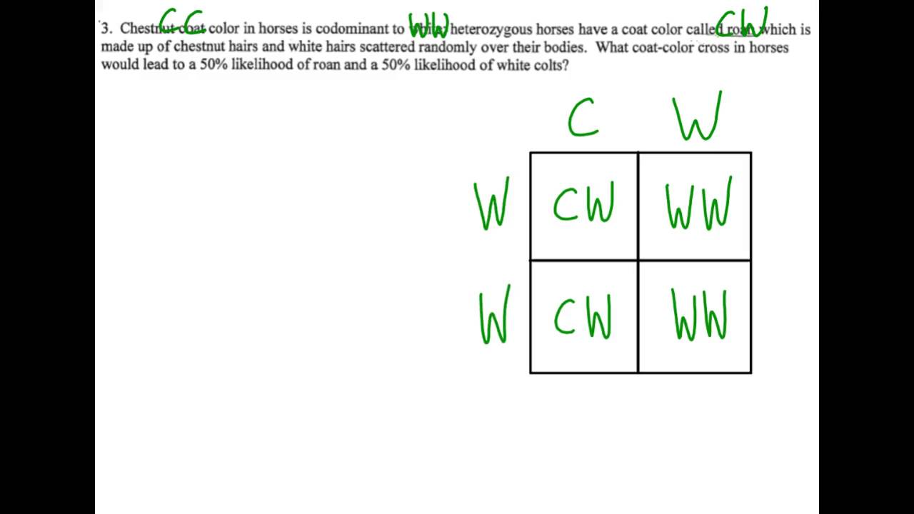 Genetics Problem Set