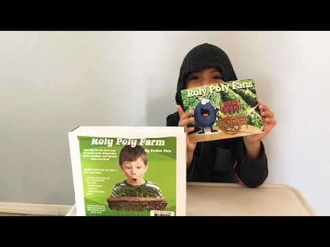 How to make a Roly poly farm!!