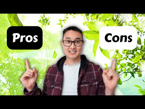 Pros and Cons of Environmental Engineering and Environmental Science | What should you major in?