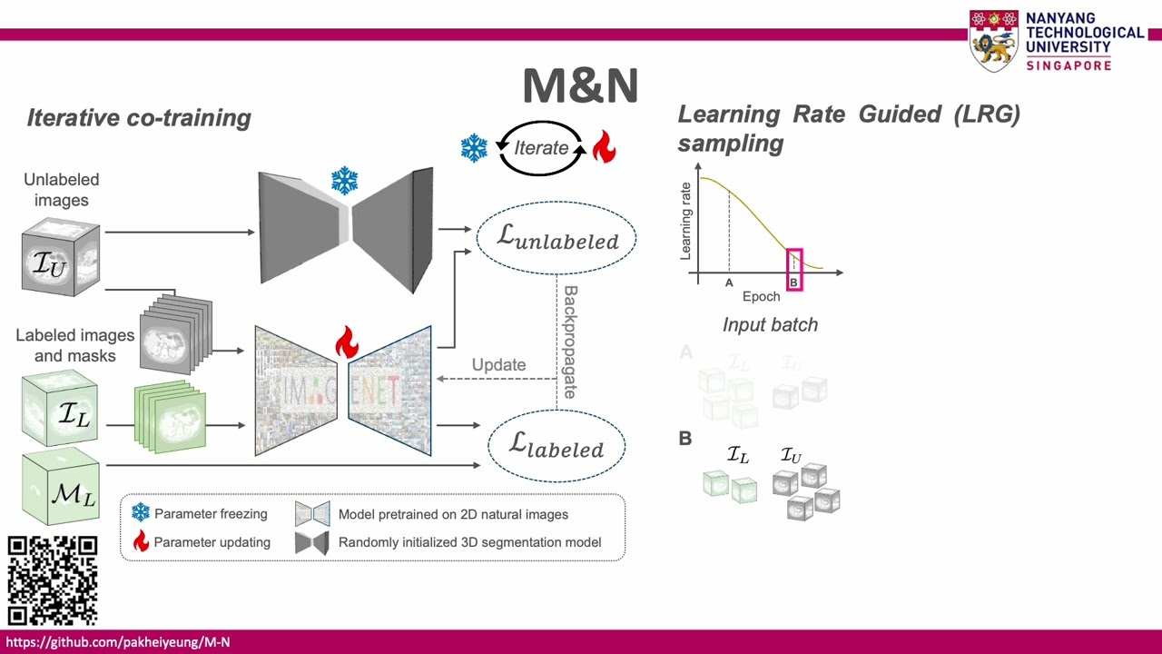 Semi-Supervised 3D Medical Segmentation from2D Natural Images Pretrained Model (M&N)
