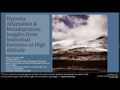 Tatum Simonson, PhD - Hypoxia Adaptation Maladaptation: Insights from Individual Variation High Alt