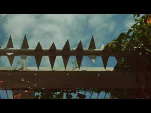 Mew3ree - Alleyway Words (Music Video)