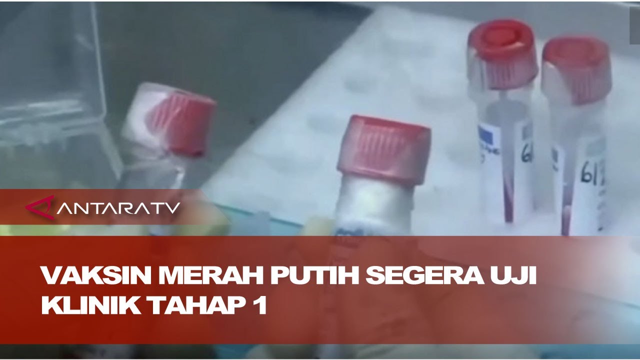 Vaksin Merah Putih segera uji klinik tahap 1