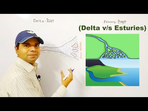 Delta & Esturies | डेल्टा क्या होता है |