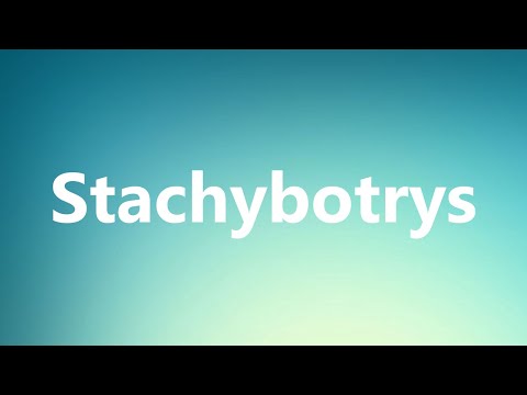 Stachybotrys - Medical Definition and Pronunciation