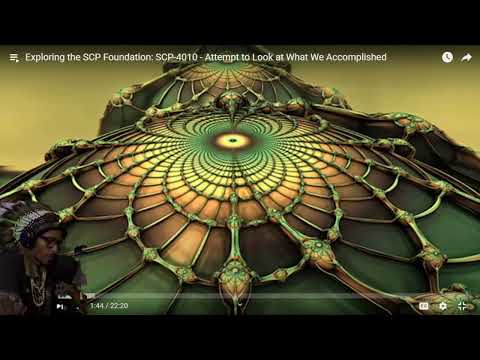 SCP-4010 - Attempt to Look at What We Accomplished REACTION!!