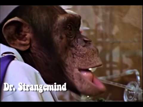 Lancelot Link: Secret Chimp May 29th Video from Original ABC Masters!