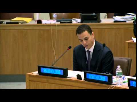 Mr. Ariel Meyerstein - United States Council for International Business - UN Post-2015 negotiations
