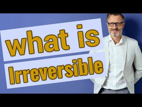 Irreversible | Definition of irreversible