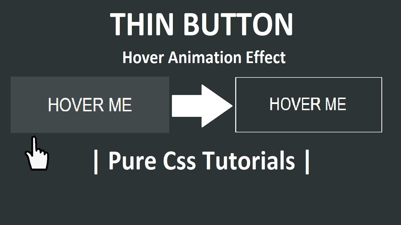Thin Hover Animated Button - Pure CSS Tutorials - Html and CSS