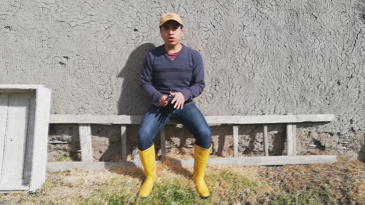 Tips para cosechar maíz | ¿Valió la pena?