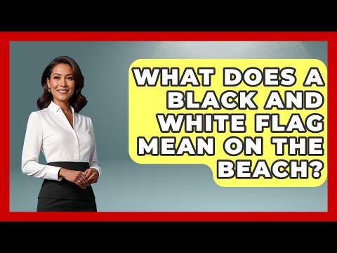 What Does A Black And White Flag Mean On The Beach? - Water Sports Haven