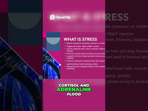 Understanding Stress Types, Effects, and Management Strategies