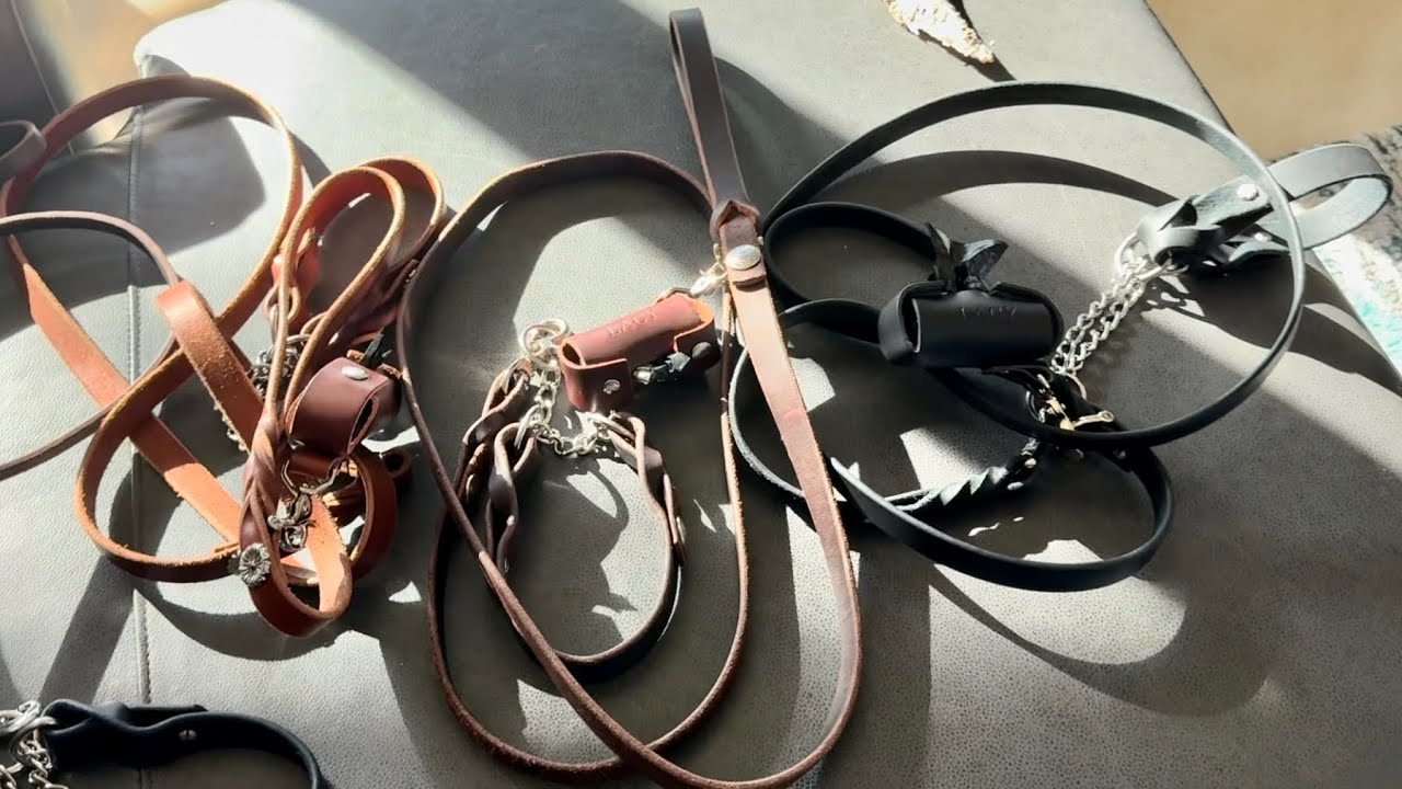 Lagotto Romagnolo Best Leashes and Collars from Etsy