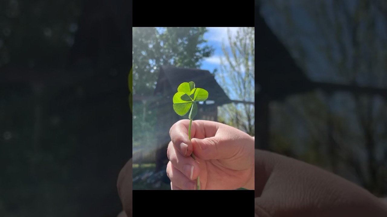 Happy Saint Patrick’s Day!☘️🌈🍀#saintpatricksday2024 #Art #4leafclover