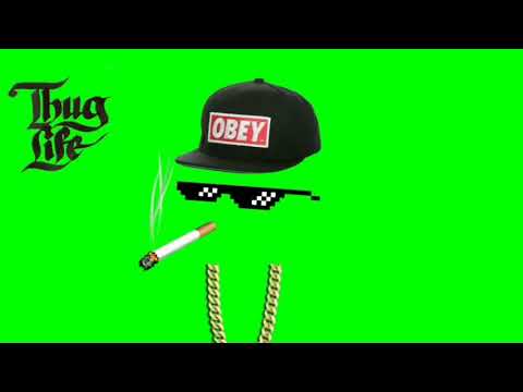 thug life full meme | full video full song | free download | no copyright | by greenscreenlover