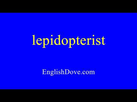 How to pronounce lepidopterist in American English