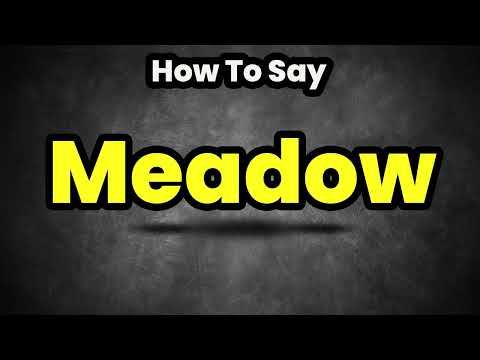 How To Pronounce Meadow? (CORRECTLY) Meaning & Pronunciation