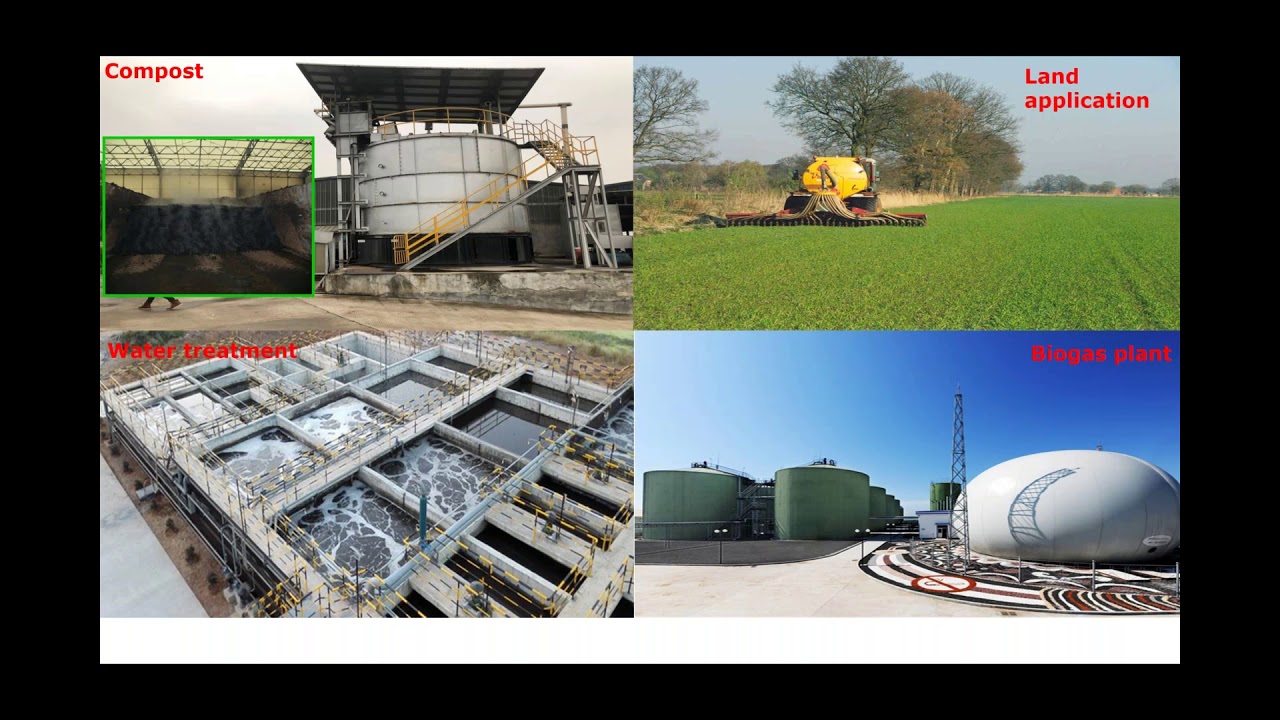 Webinar: CCAC and China's efforts on improved nutrient use and manure management