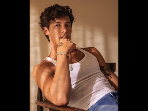 Shawn Mendes Age, Net Worth, Girlfriend, Songs !!