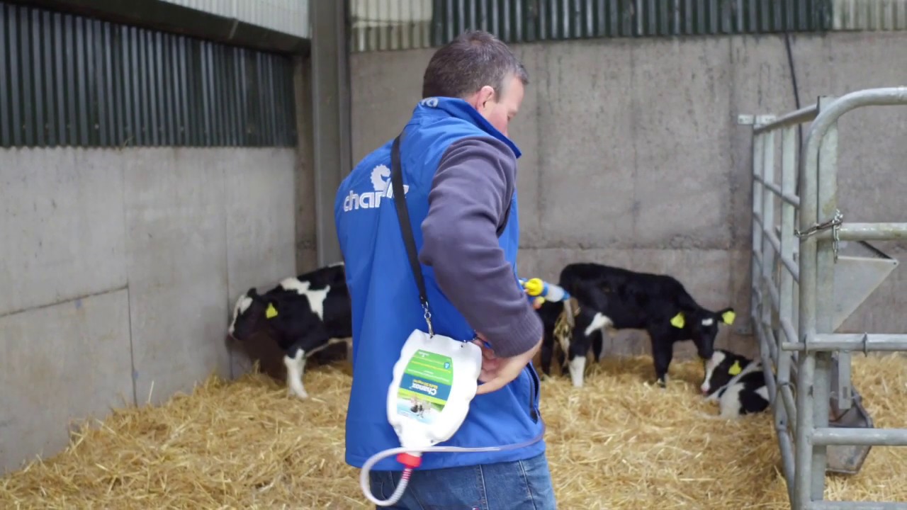 Video | Meet Kildare Dairy Farmer, Larry Hannon | Farm Health First