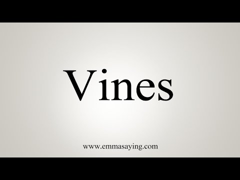 How To Say Vines