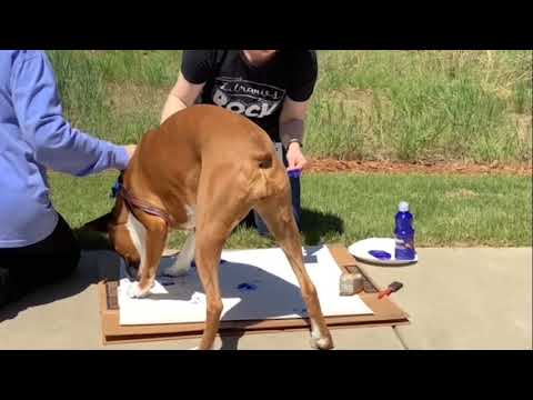 Puppy Paw Print Painting!