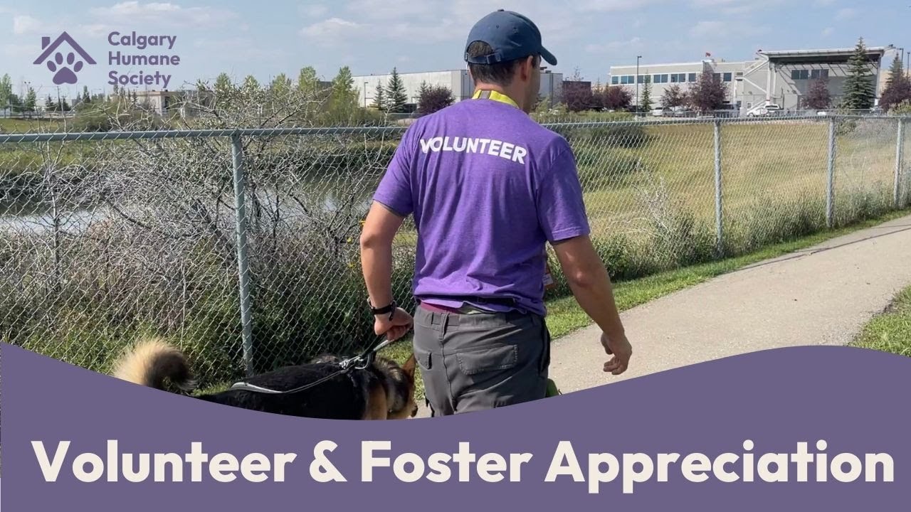 Volunteer and Foster Appreciation!
