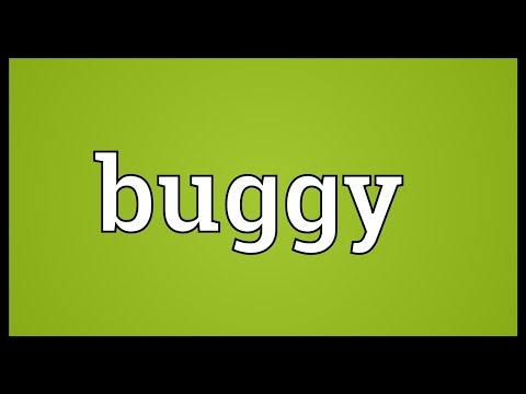 Buggy Meaning