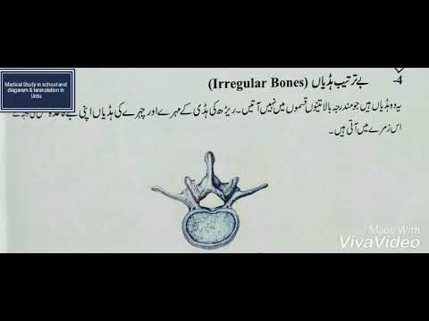 Irregular Bones ki defination & diagaram and translation in Urdu