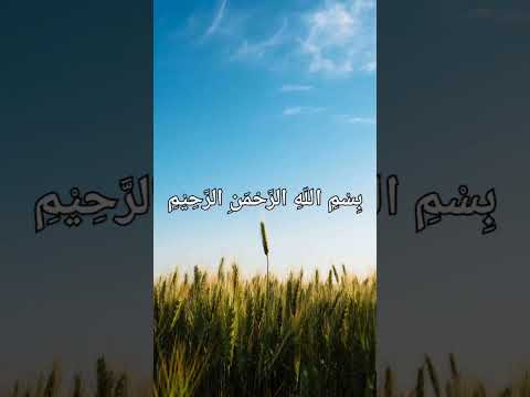 Bacaan Basmalah KH. Muammar ZA #Allah #mahapengasih #mahapenyayang #alquran #islami #shorts